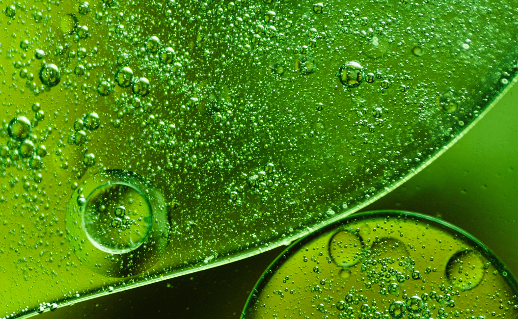 Deep Sea Secret: 3 Ways Algae Can Defy Aging and Improve Your Skin ...